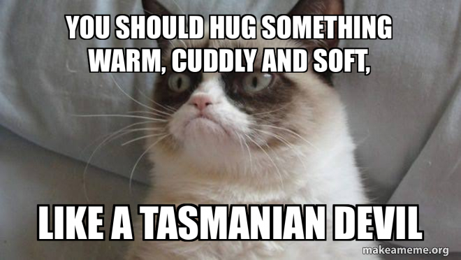 You should hug something warm, cuddly and soft, Like a tasmanian devil ...