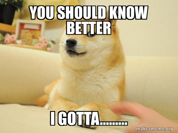 You should know better I gotta......... - Doge Meme Generator