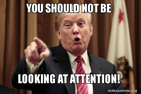 you should not be Looking at attention! - Donald Trump Says Meme Generator