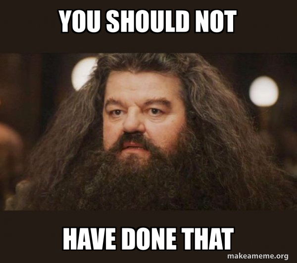 You should not Have done that - Hagrid - I should not have said that ...