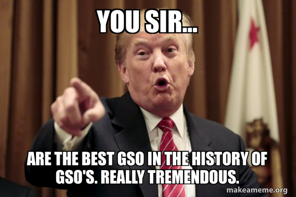 You sir... Are the best GSO in the history of GSO's. Really Tremendous ...