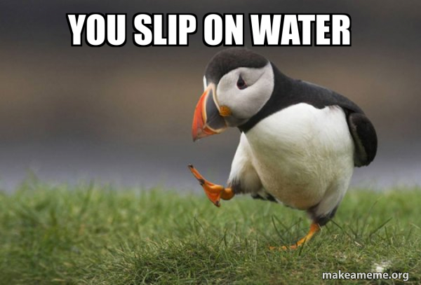 you slip on water - Unpopular Opinion Puffin Meme Generator