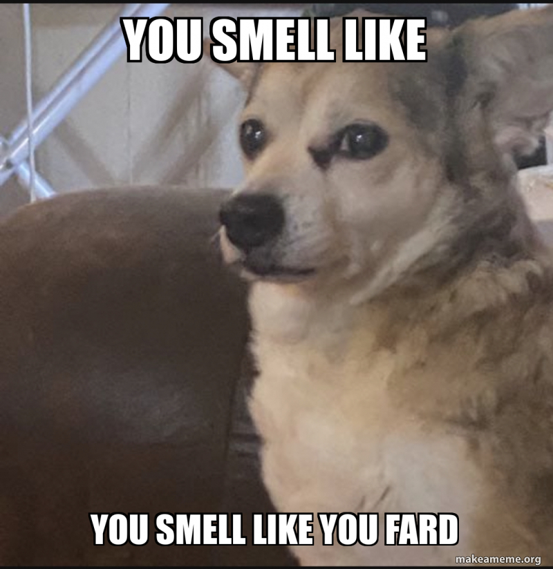 You smell LIKE YOU SMELL LIKE YOU FARD Meme Generator
