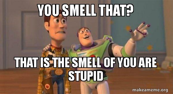 You smell that? That is the smell of you are stupid - Buzz and Woody ...