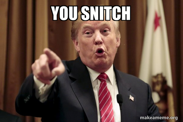 you snitch - Donald Trump Says Meme Generator