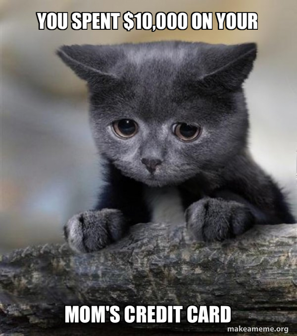 You Spent $10,000 On Your Mom's Credit Card - Confession Cat Meme Generator