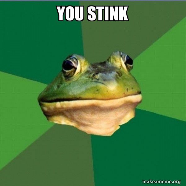 You stink - Foul Bachelor Frog Meme Generator