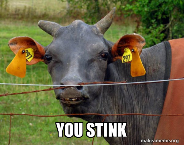 You stink - Hairless Cow Meme Generator
