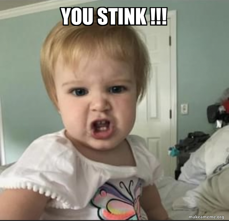 You stink !!! Meme Generator