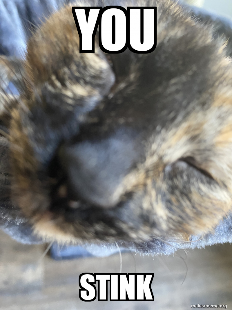 you stink Meme Generator