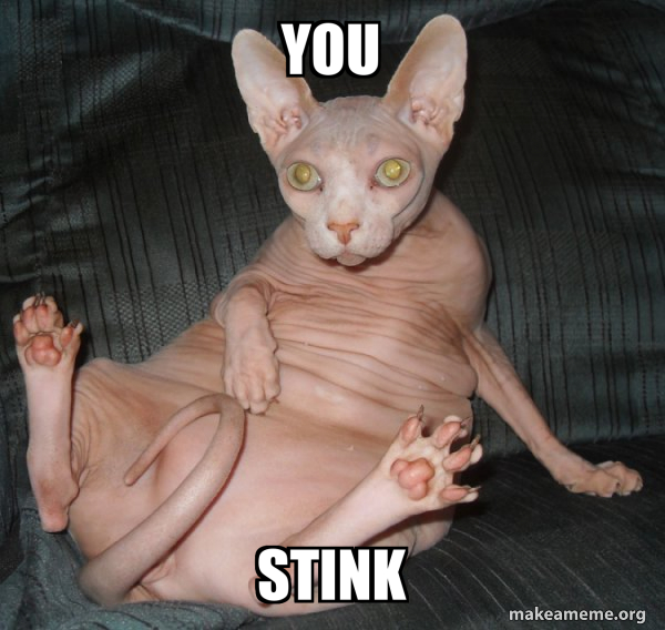 You Stink - Hairless Cat Meme Generator