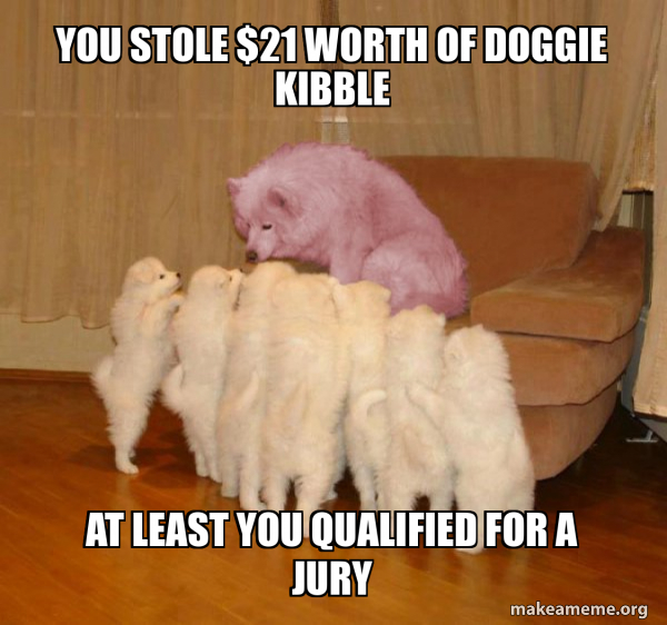 you stole $21 worth of doggie kibble at least you qualified for a jury ...