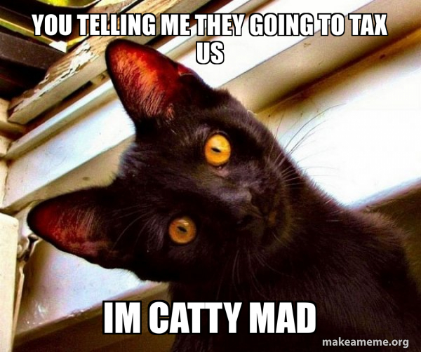 You telling me they going to tax us Im catty mad - Overly Attached Cat ...