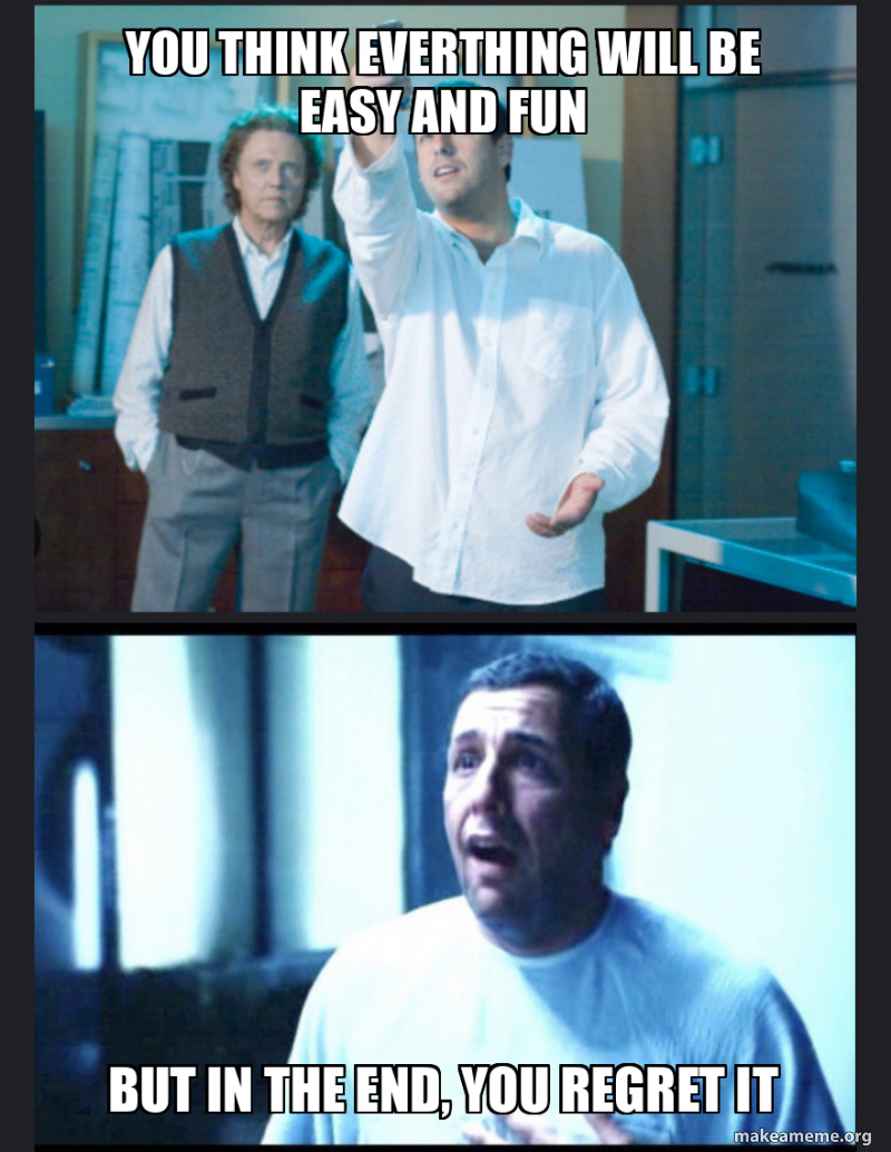 you think everthing will be easy and fun but in the END, you regret it ...