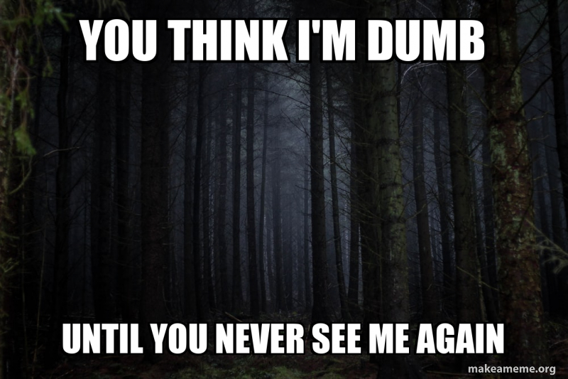 You think I'm dumb Until you never see me again Meme Generator