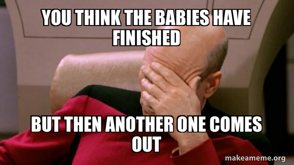 You think the babies have finished But then another one comes out ...