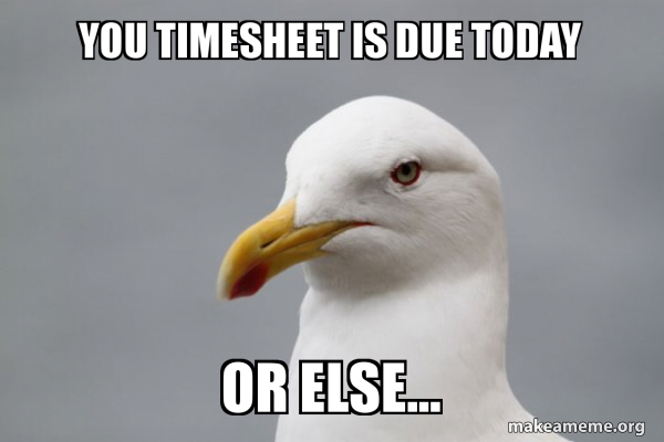 You timesheet is due today Or Else... - Stuff That Didn't Happen ...