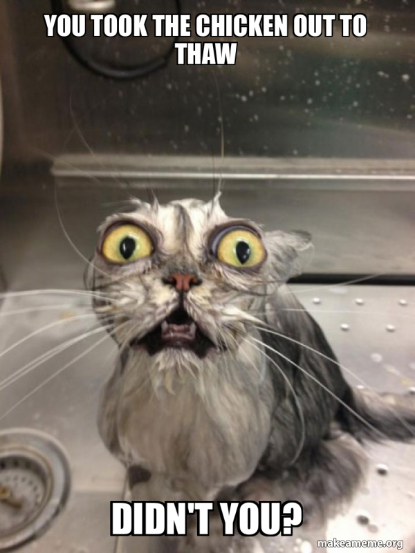 You took the chicken out to thaw didn't you? - Cat bath Meme Generator