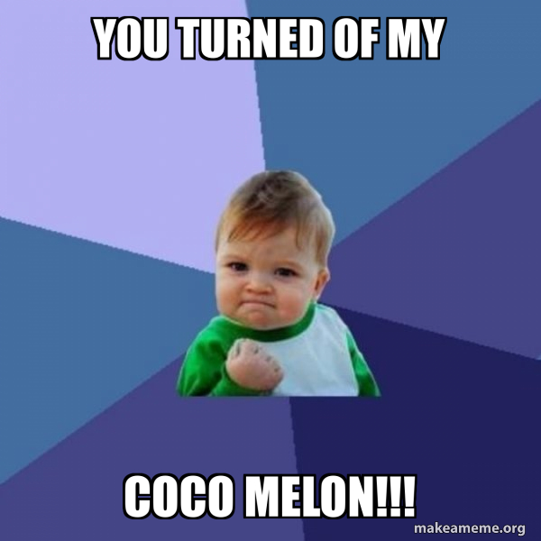 you turned of my coco melon!!! - Success Kid Meme Generator