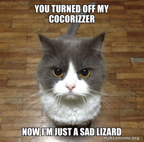 You turned off my cocorizzer Now I'm just a sad lizard Meme Generator