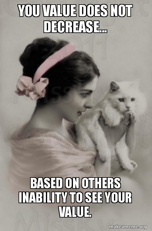 You value does not decrease... based on others inability to see your value. - bhjkjh Meme Generator