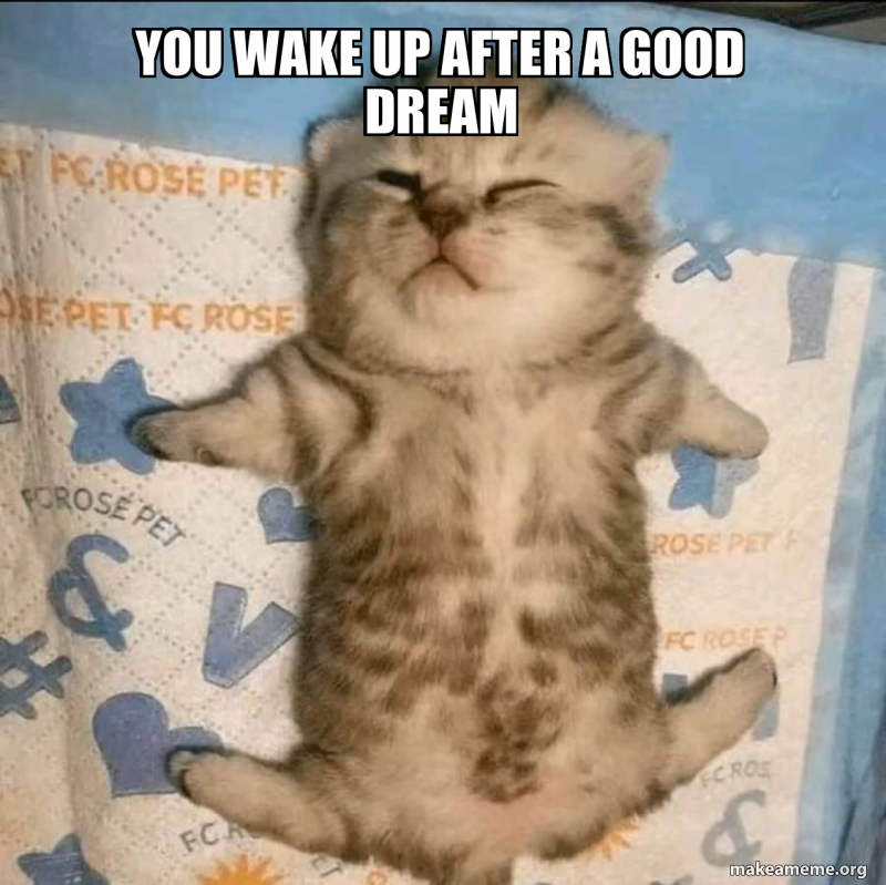 You wake up after a good dream Meme Generator