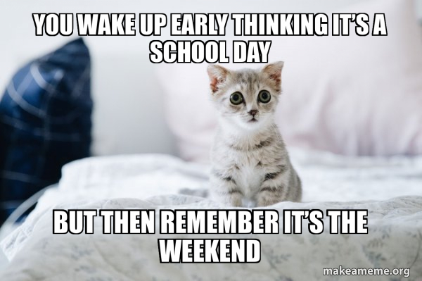 Early Day Memes 30 Good Morning Memes For A Good Laugh | Reader's