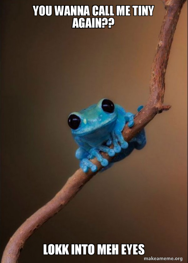 YOU WANNA CALL ME TINY AGAIN?? LOKK INTO MEH EYES - Small Fact Frog ...