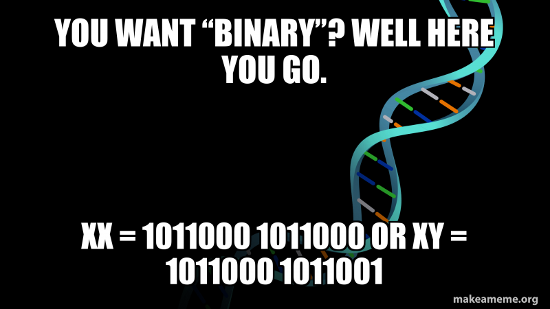 You want “binary”? Well here you go. XX = 1011000 1011000 or XY = 1011000 1011001 Meme Generator