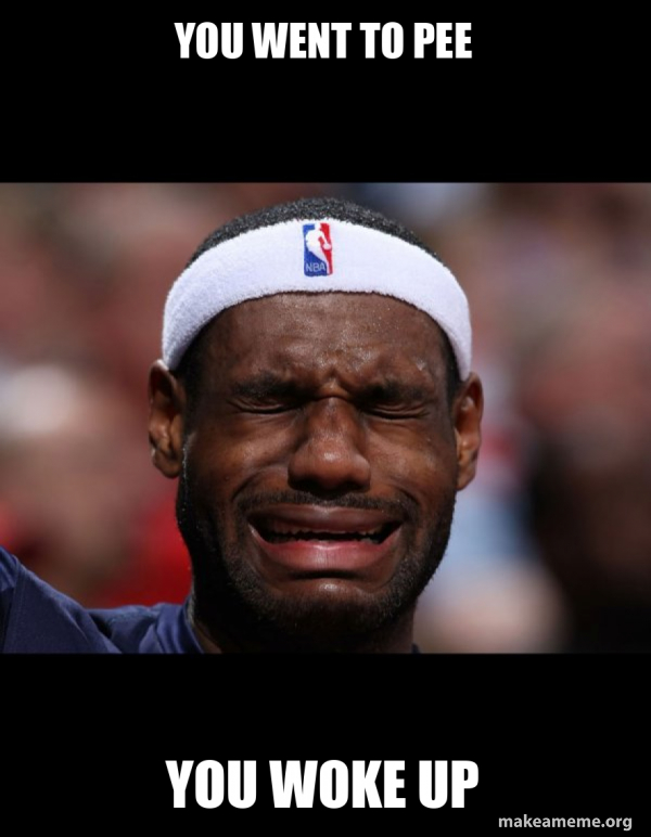 You went to pee You woke up - Lebron Crying Meme Generator