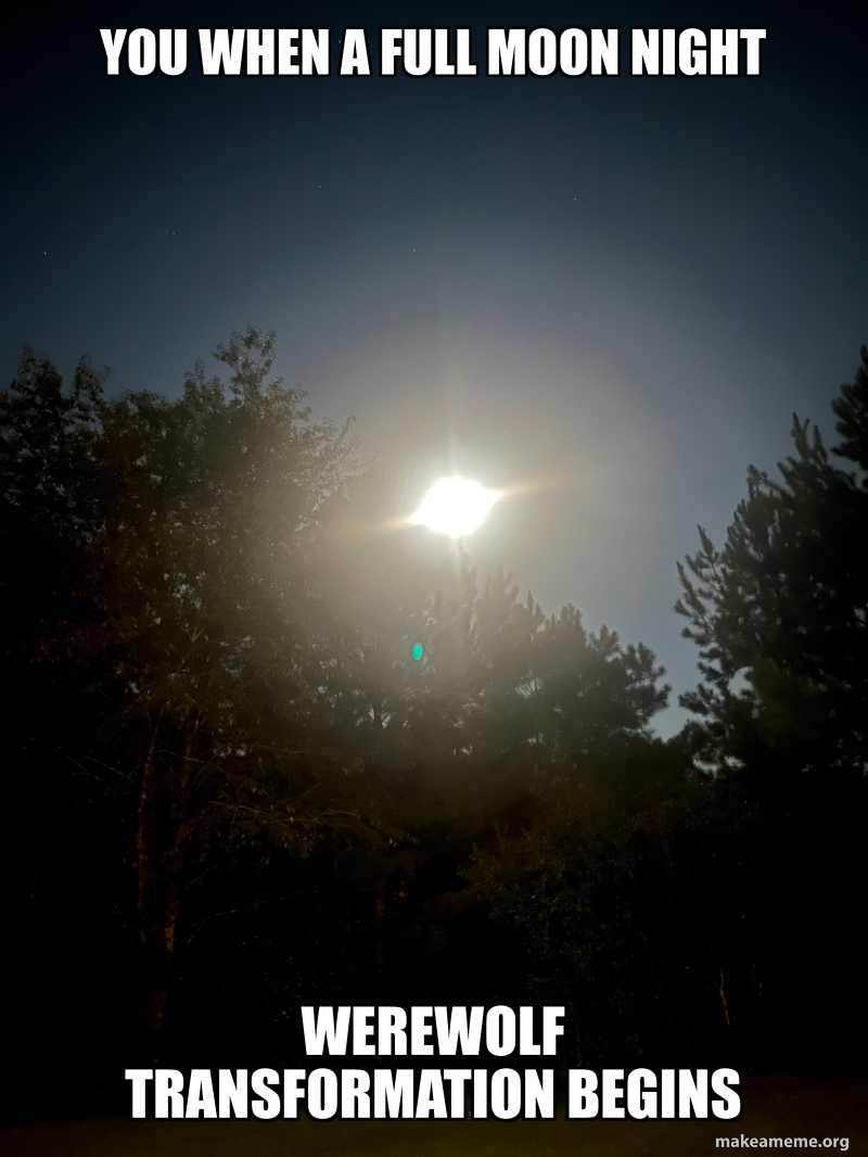You WHEN A FULL MOON NIGHT WEREWOLF TRANSFORMATION BEGINS - WOLFMAN ...