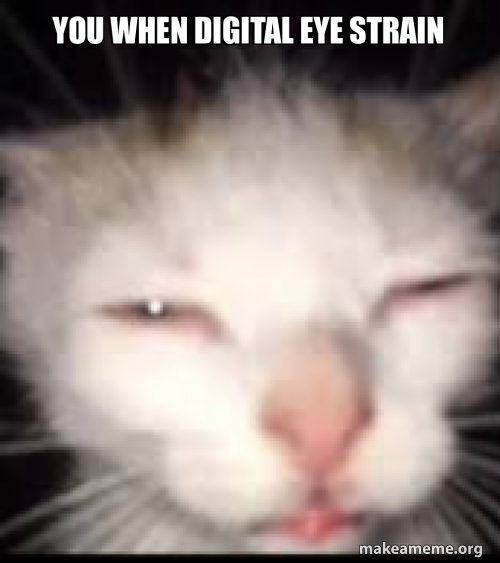 You when digital eye strain Meme Generator