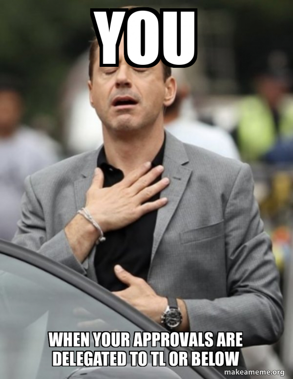 YOU WHEN YOUR APPROVALS ARE DELEGATED TO TL OR BELOW - Tony Stark ...