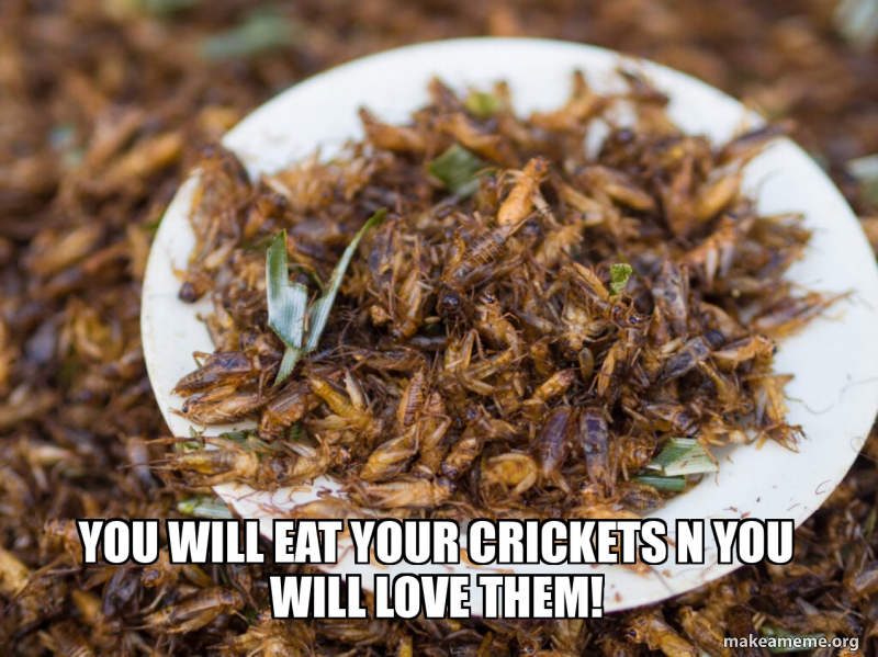 you will eat your crickets n you will love them! Meme Generator