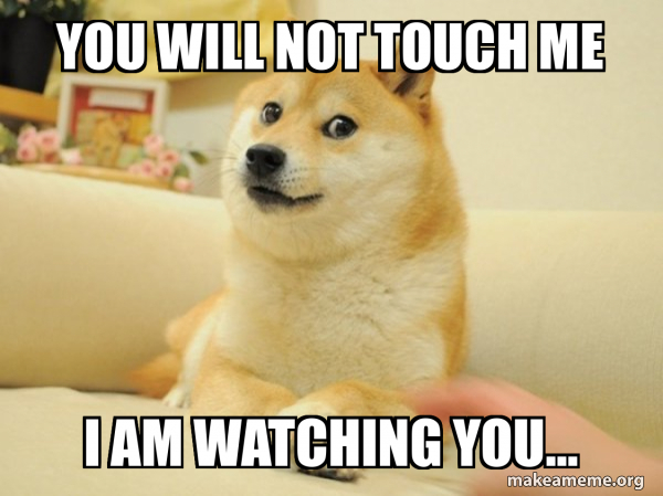 You Will Not Touch Me I Am Watching You... - Doge Meme Generator