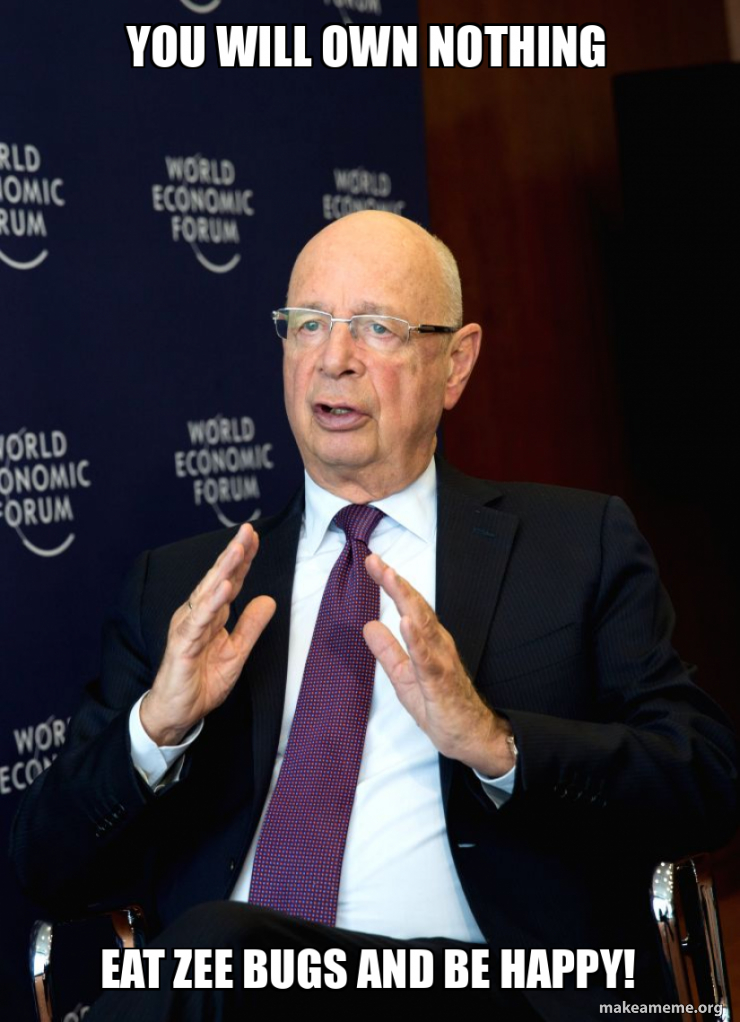 you will own nothing eat zee bugs and be happy! Meme Generator