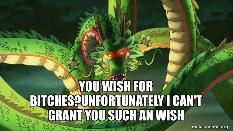 YOU WISH FOR BITCHES?UNFORTUNATELY I CAN'T GRANT YOU SUCH AN WISH Meme ...
