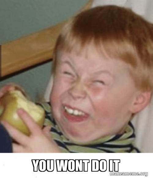 you wont do it Meme Generator