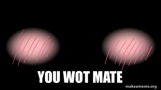You wot Mate Meme Generator