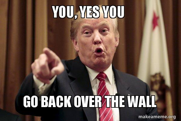 YOU, YES you go back over the wall - Donald Trump Says Meme Generator