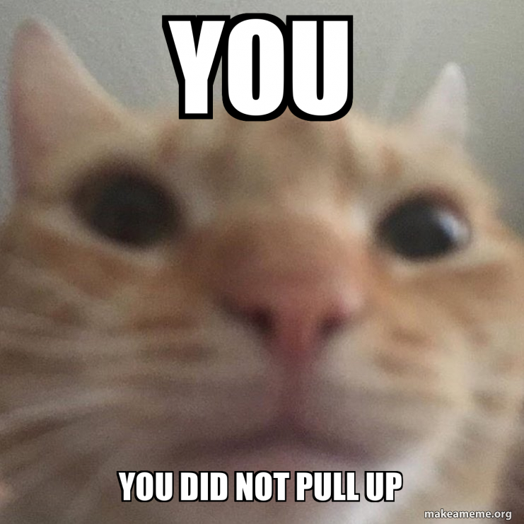 you you did not pull up Meme Generator