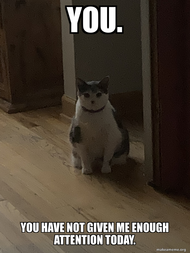 You. You have not given me enough attention today. Meme Generator