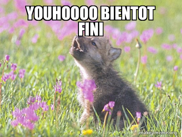 youhoooo bientot fini - Baby Insanity Wolf Meme Generator
