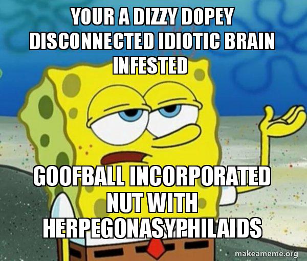 Your a dizzy dopey disconnected idiotic brain infested goofball ...