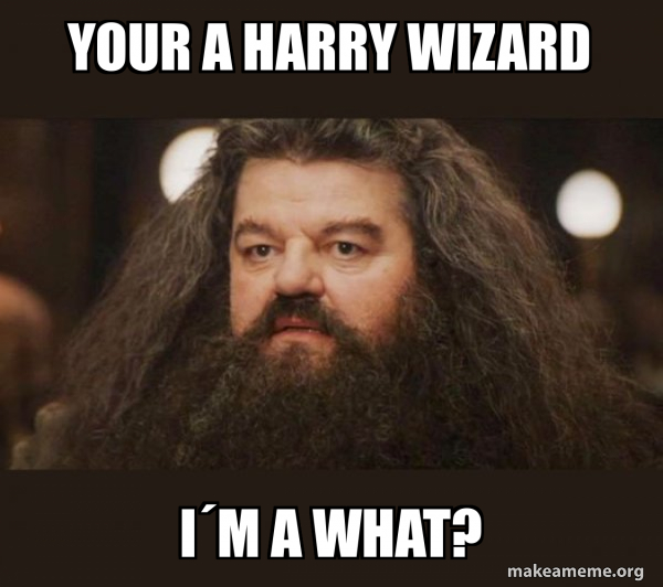 YOUR A HARRY WIZARD I´M A WHAT? - Hagrid - I should not have said that ...