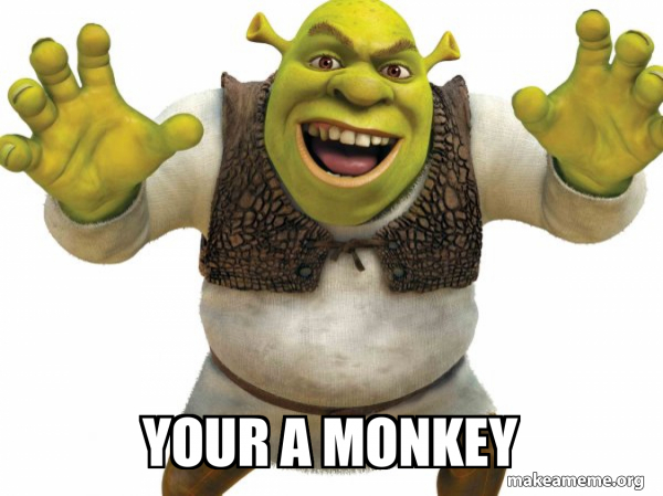 your a monkey - Shrek Meme Generator