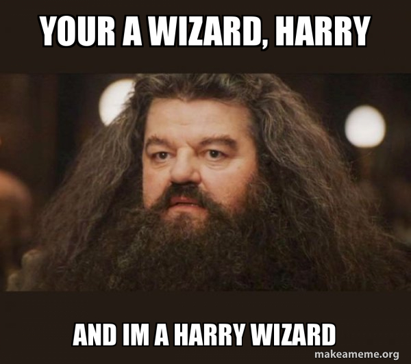 Your a wizard, harry and im a harry wizard - Hagrid - I should not have ...