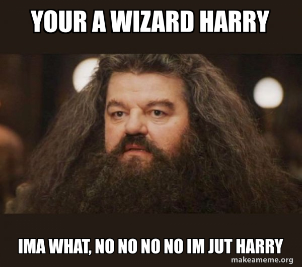 Your a wizard harry IMA WHAT, NO NO NO NO IM JUT hArRy - Hagrid - I ...
