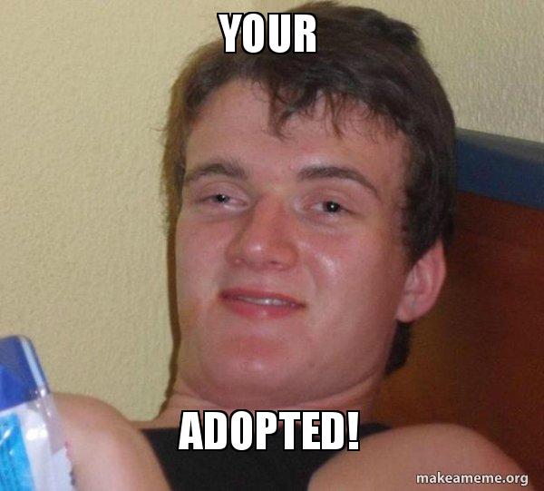 your adopted! - [10] guy Meme Generator