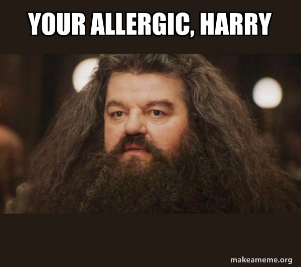Your allergic, Harry - Hagrid - I should not have said that Meme Generator